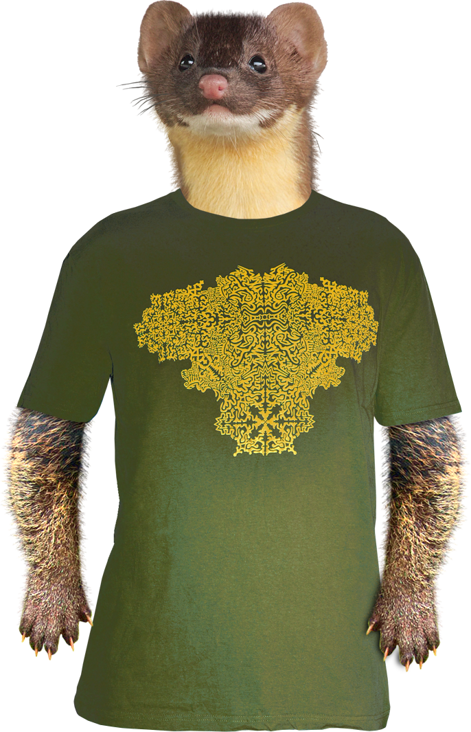 Falcor Limited Edition T-Shirt – tapt.co.uk