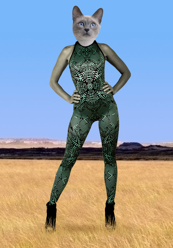 psychedelic cat suit