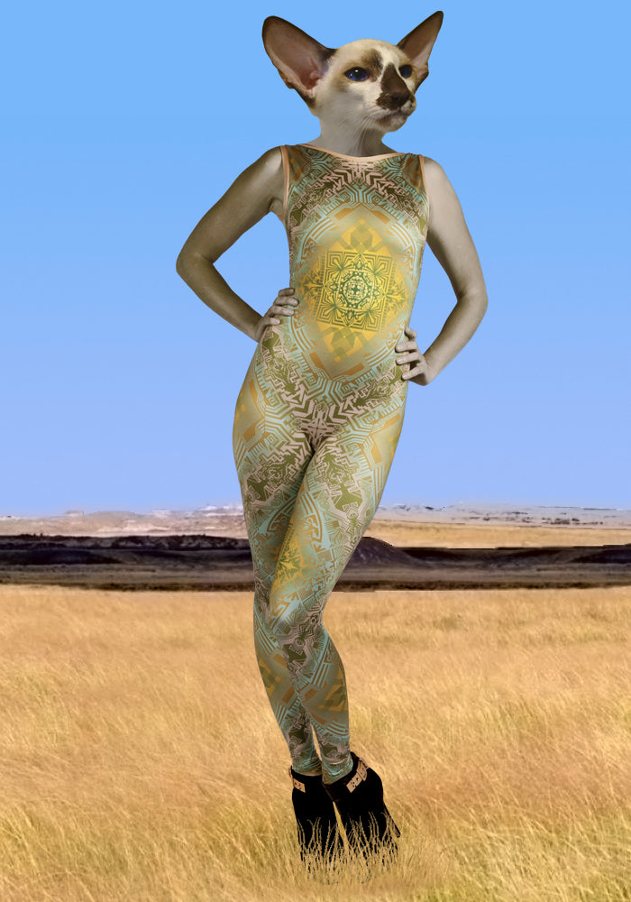 psychedelic cat suit