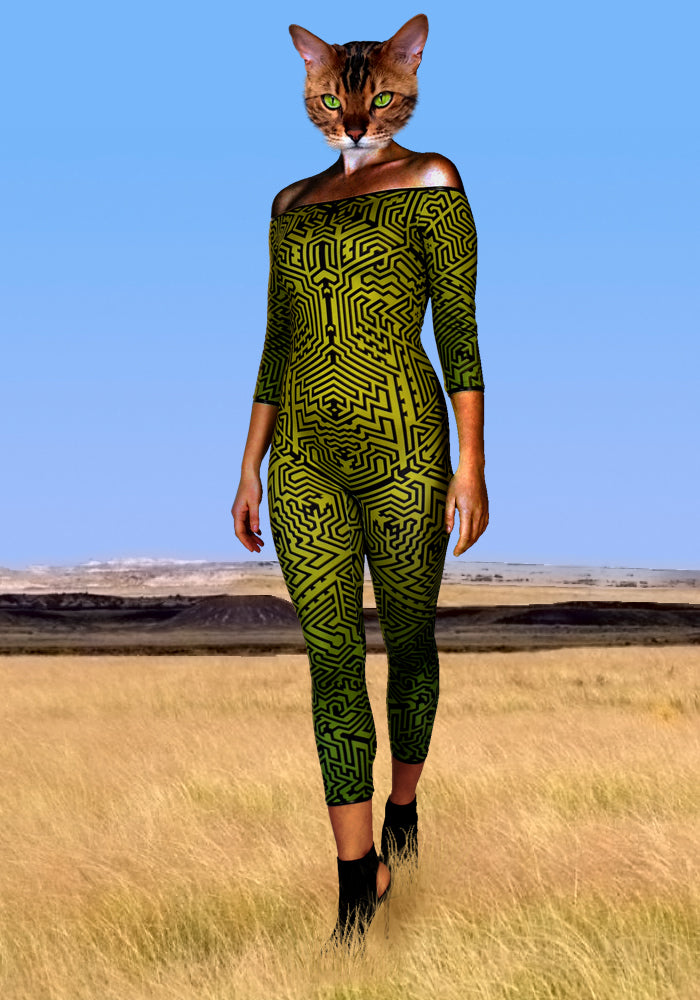 psychedelic cat suit